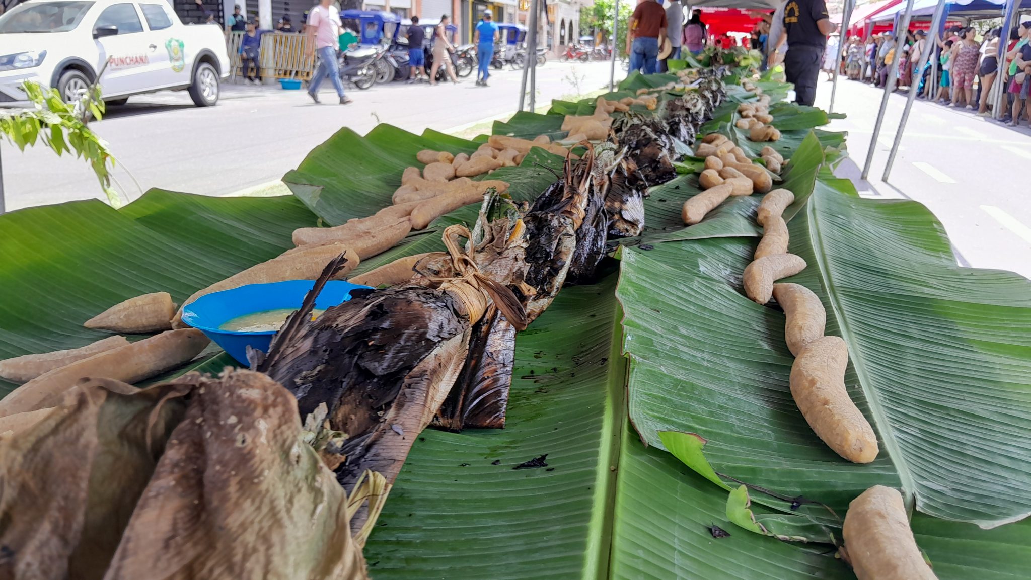 LA PATARASHCA MÁS GRANDE EN “LA PURÍSIMA” | Diario Pro & Contra