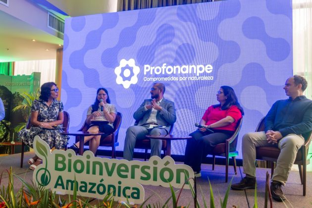 Profonanpe otorgará hasta US$ 600 mil para financiar negocios que ...