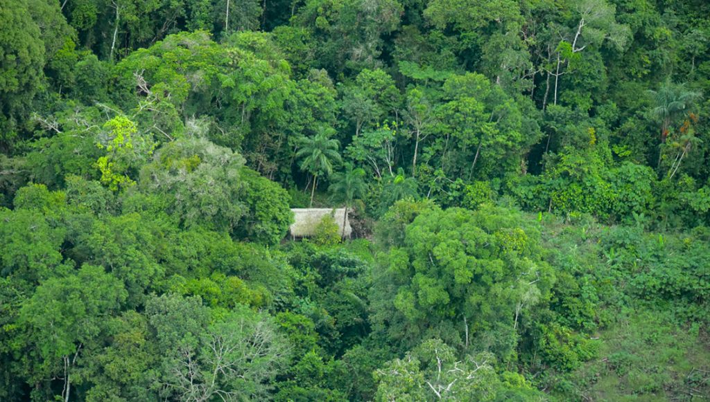 ORPIO RECHAZA “CAMPAÑA DE DESINFORMACIÓN” SOBRE PIACI EN NAPO TIGRE ...
